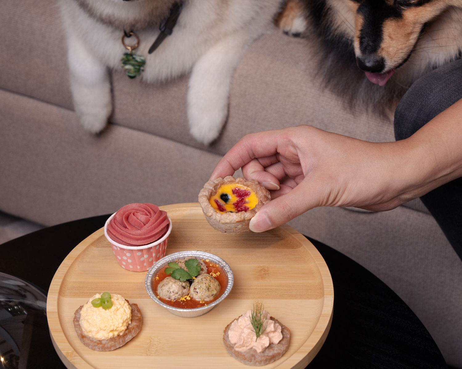 FURKID HIGH TEA | Amara Sanctuary Resort Sentosa