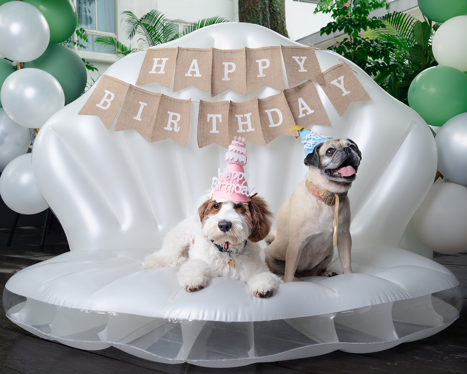 PAWTY PACKAGE | Amara Sanctuary Resort Sentosa